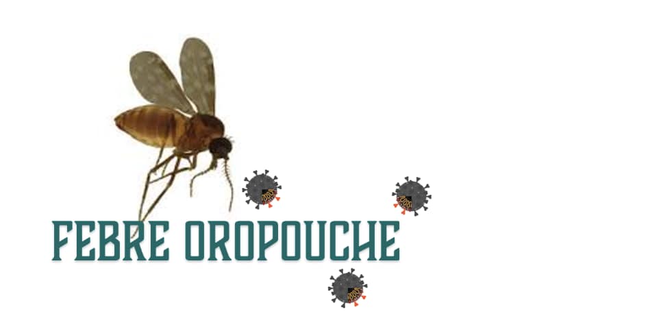 Febre Oropouche - Diário Farma